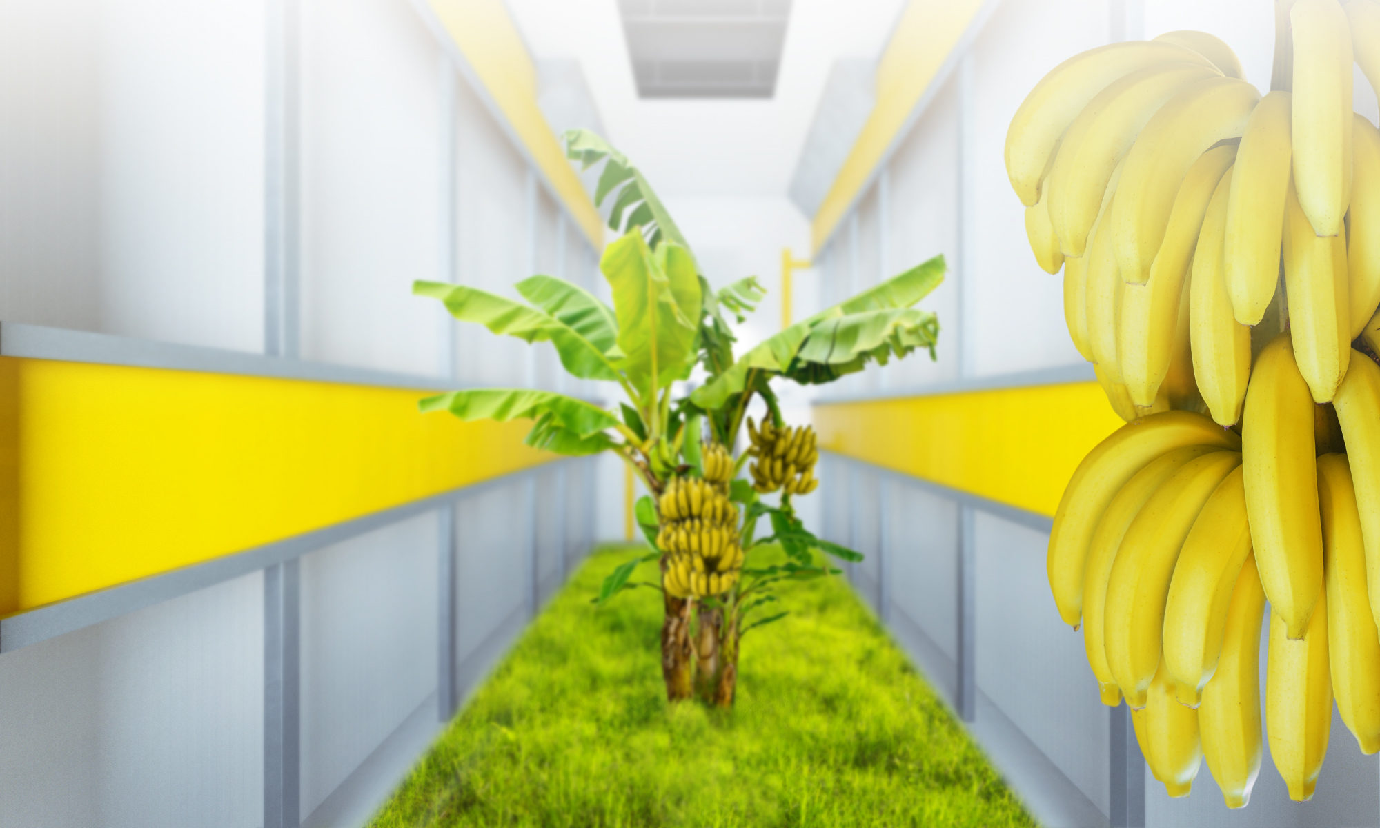 Homepage [technofruits.com]